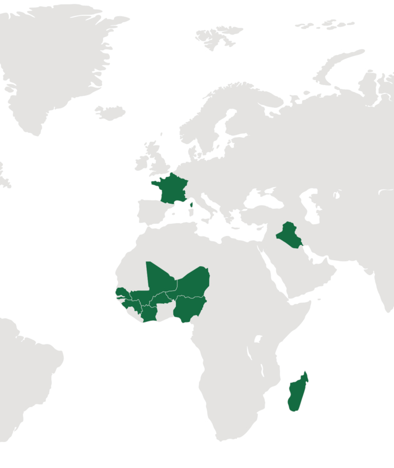 Nos projets – ECPAT France